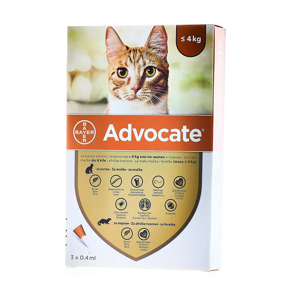 ADVOCATE CAT