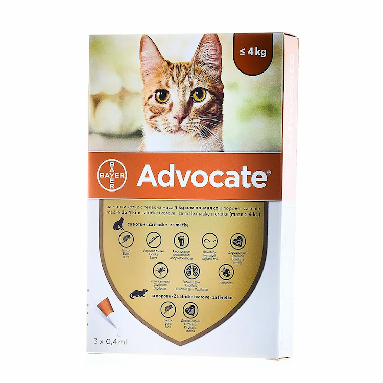 ADVOCATE CAT