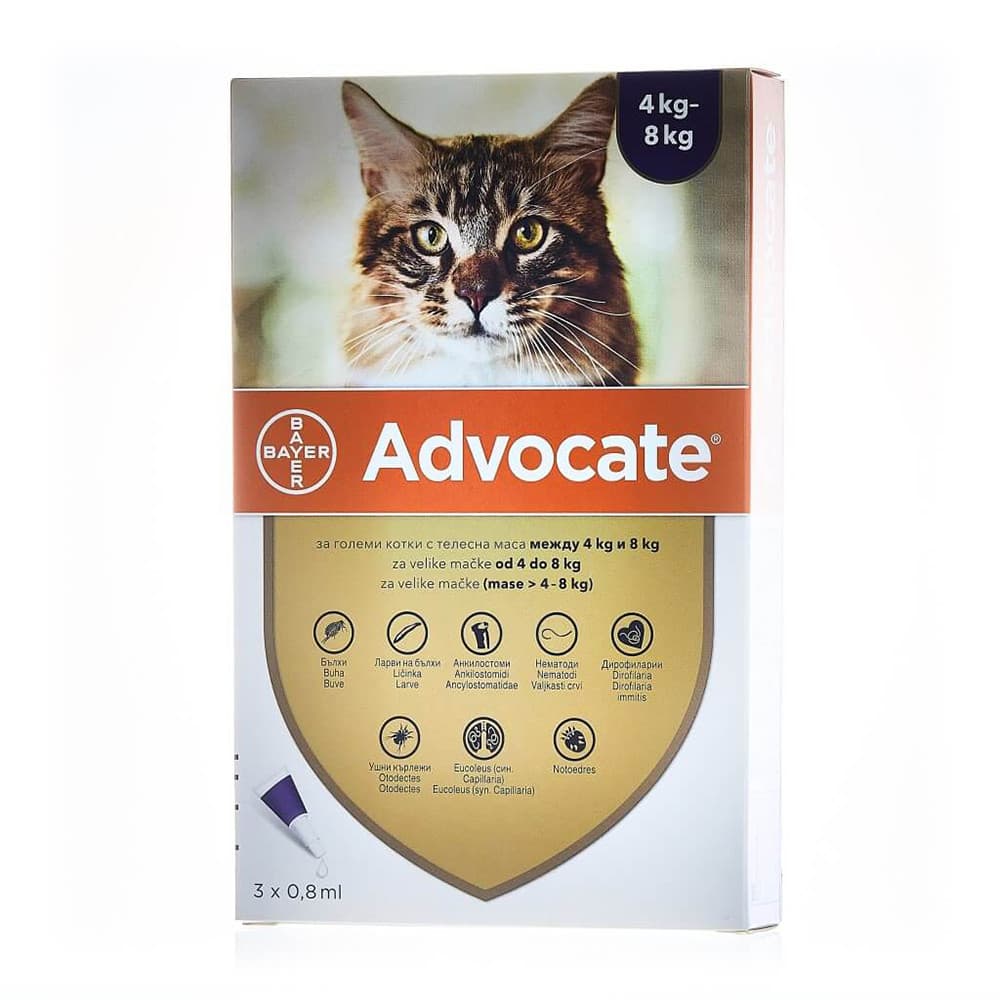 ADVOCATE CAT