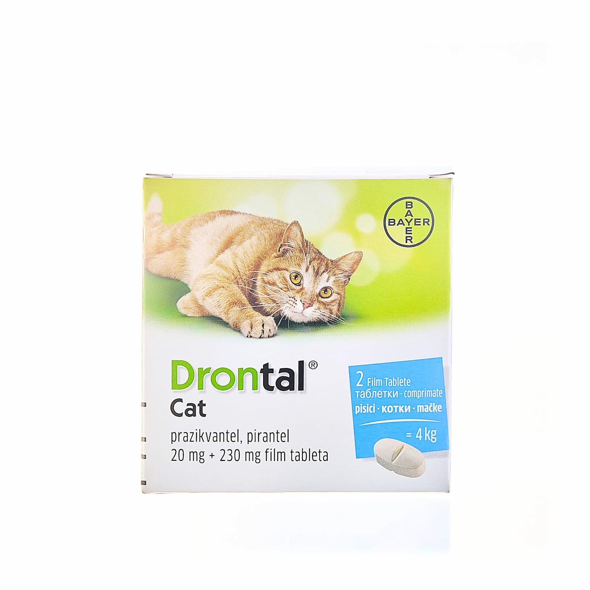 DRONTAL CAT